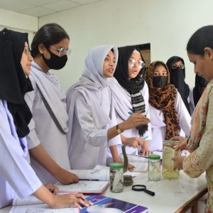 Home - Hamdard Intermediate College